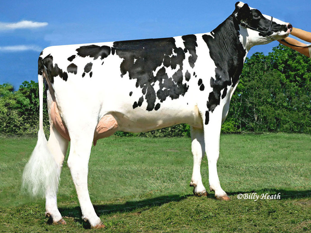 ZW-Highlights April 2019 – DG DairyGen GmbH